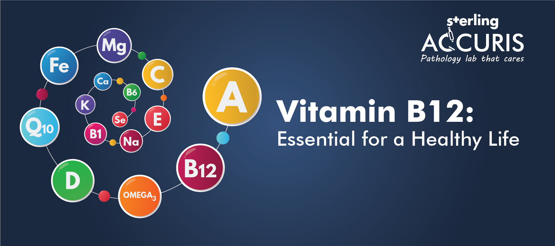 Vitamin B12: Essential for a Healthy Life